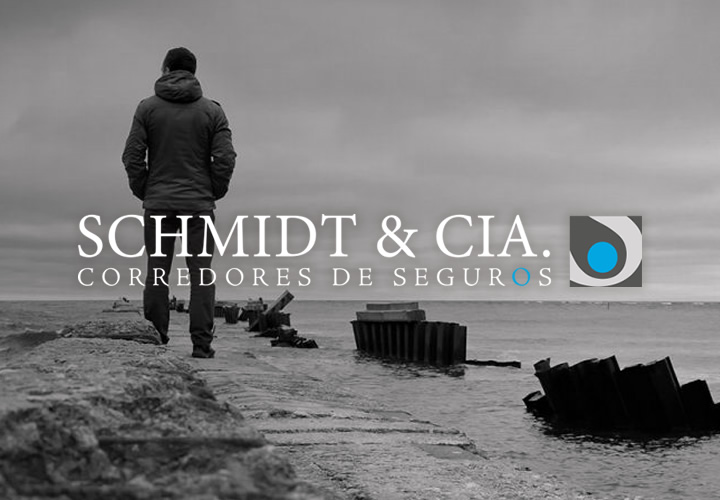 Experiencia y visión | Schmidt Seguros